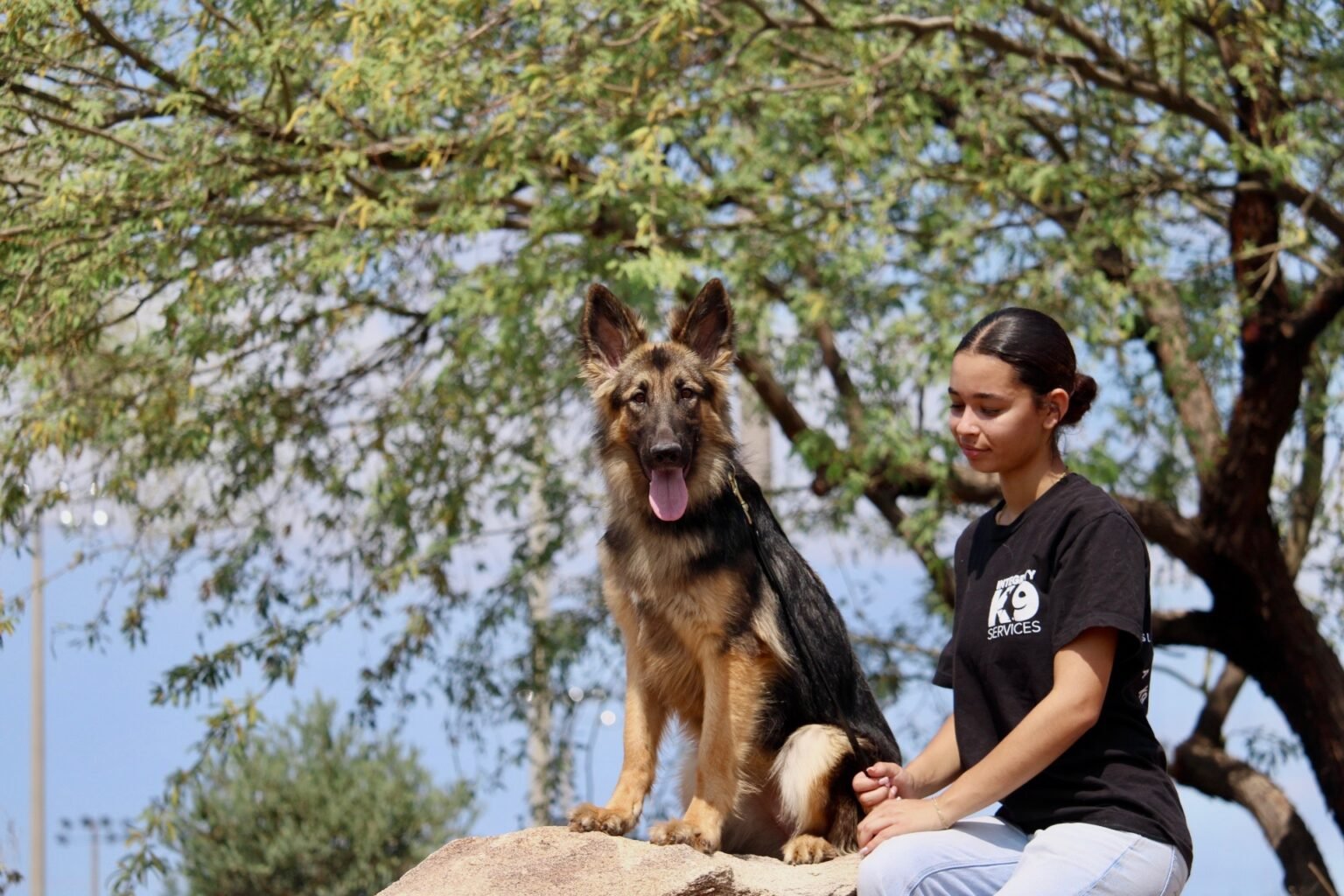Trained Protection Dogs for Sale | Integrity K9 Services